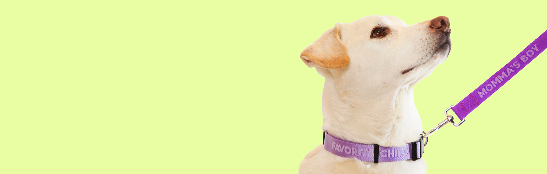Dog – Pretty Alright Goods
